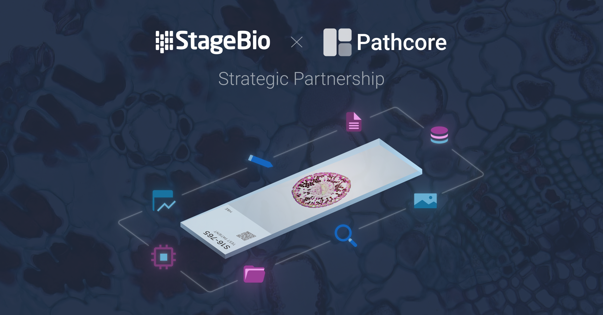 StageBio and Pathcore Announce a Strategic Partnership to Revolutionize the Pathology Laboratory